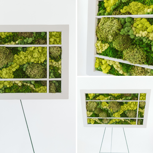 Custom Moss Art Commissions - Unique Moss Frame Creations – Reclaimed ...