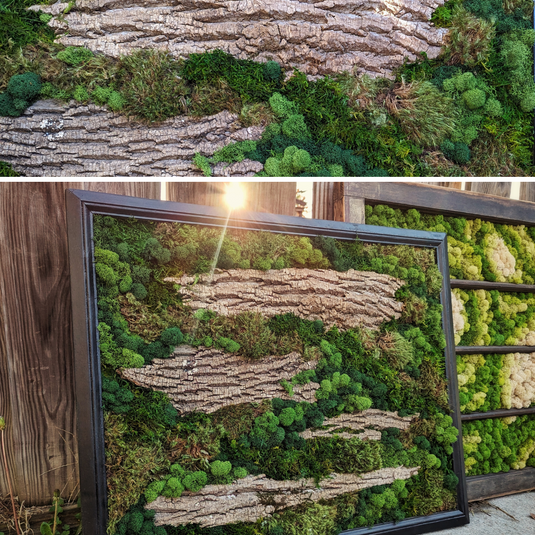 Custom Moss Art Commissions - Unique Moss Frame Creations – Reclaimed ...