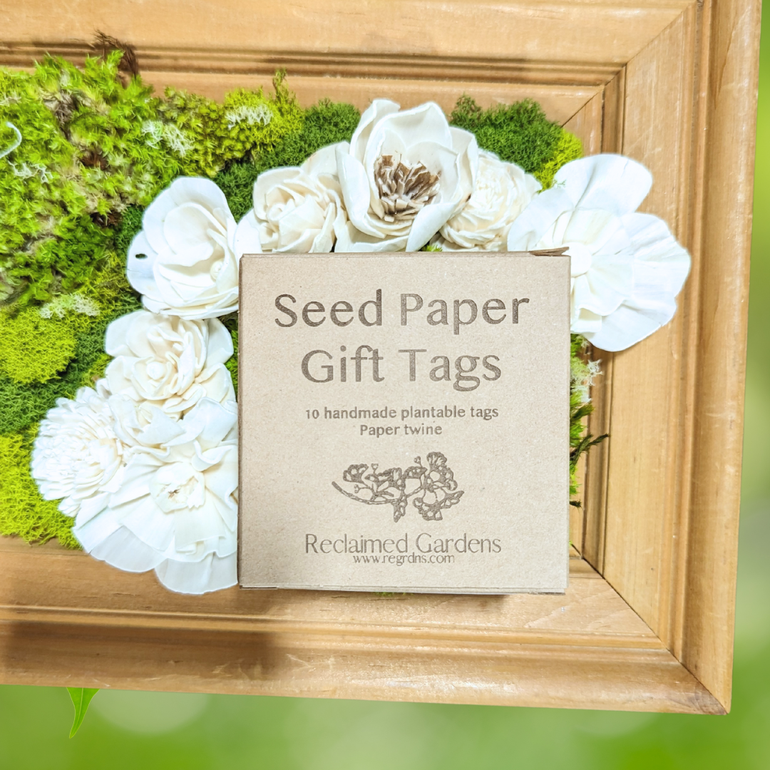 Seed Paper Gift Tags (Set of 10) – Reclaimed Gardens